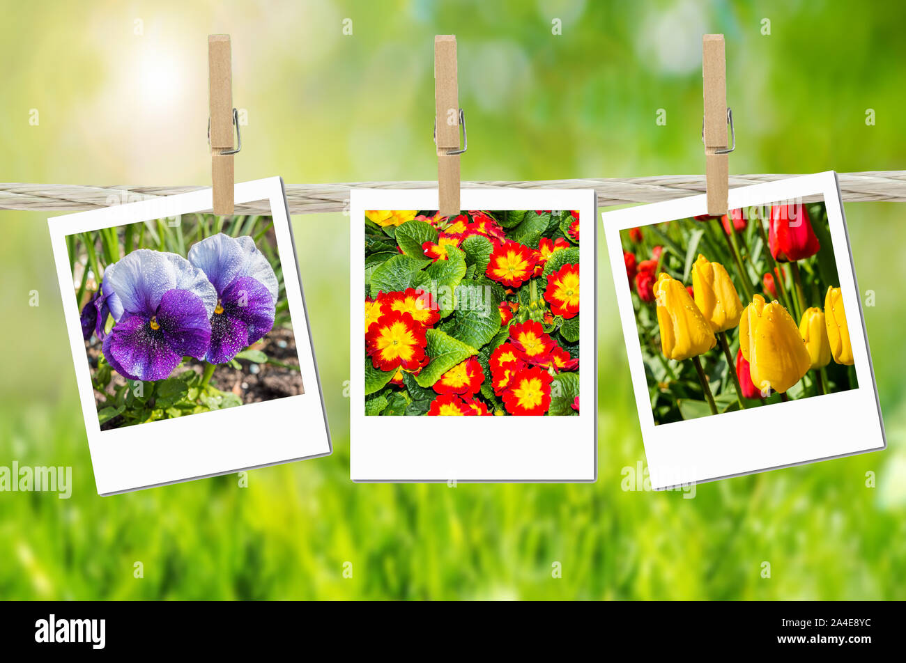 Spring collage with pictures Stock Photo - Alamy