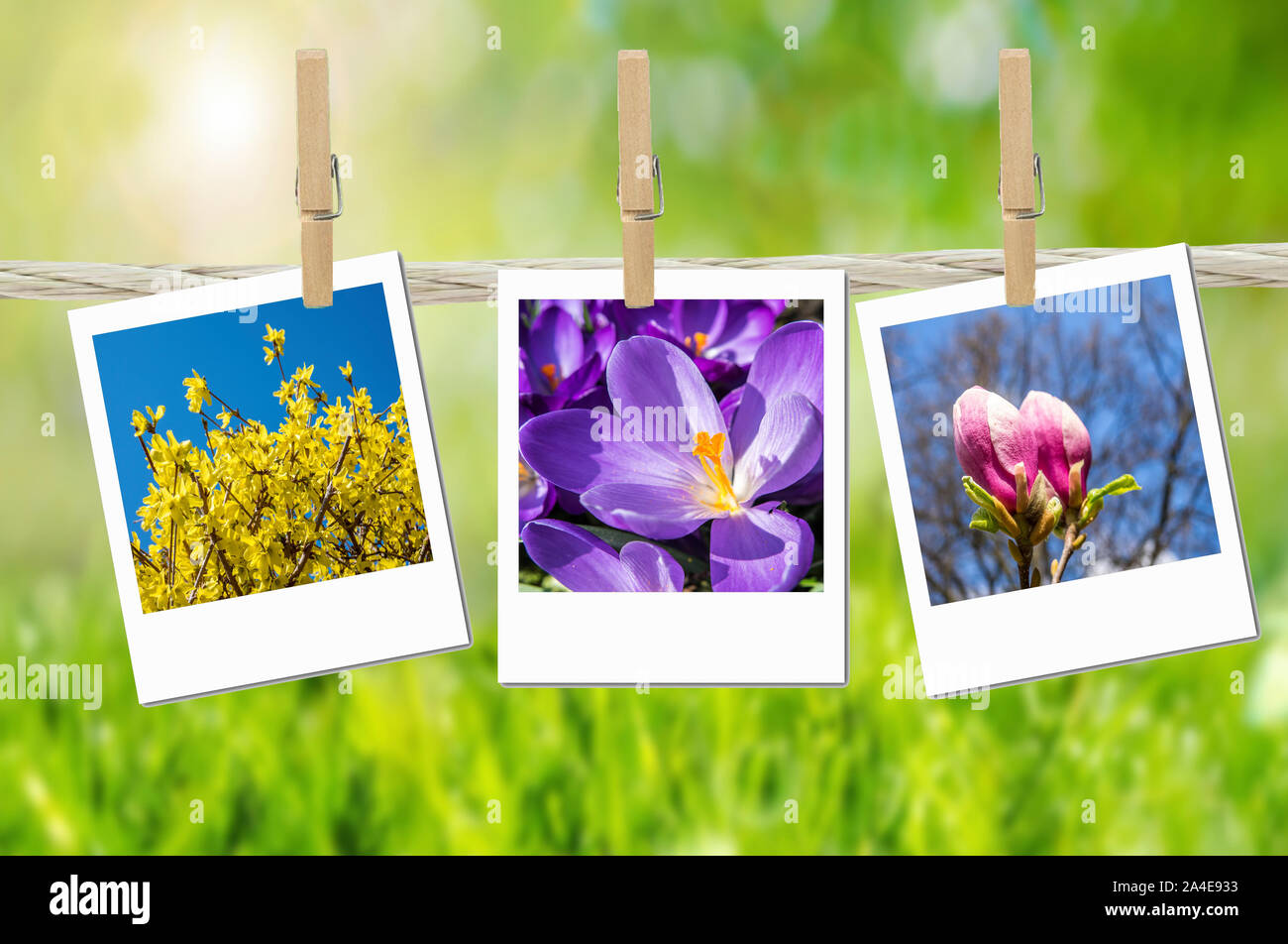 Collage spring time Stock Photo - Alamy