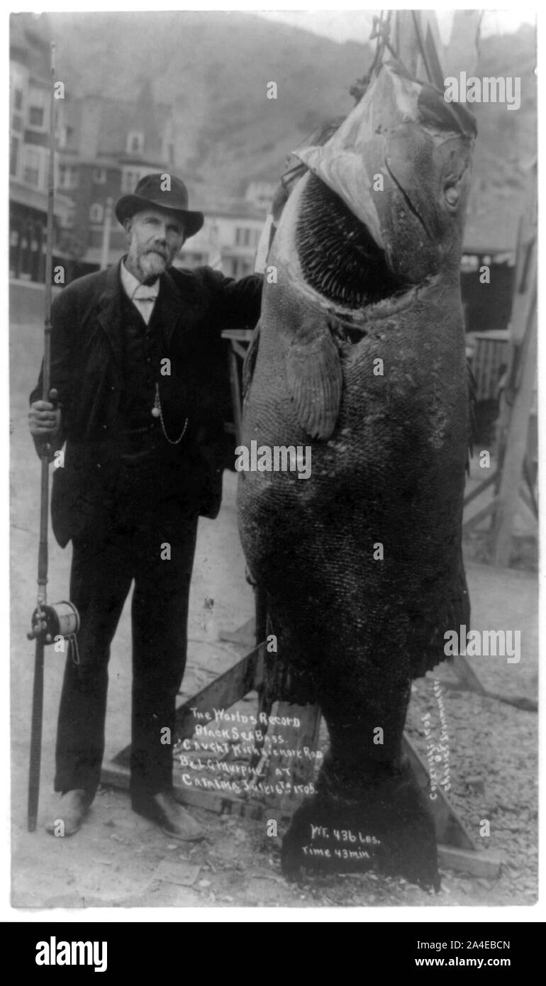 Rod island Black and White Stock Photos & Images - Alamy