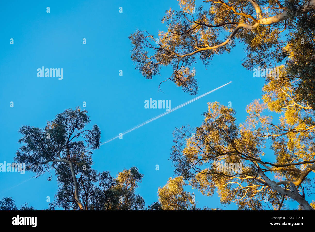 Flying to australia hi-res stock photography and images - Alamy