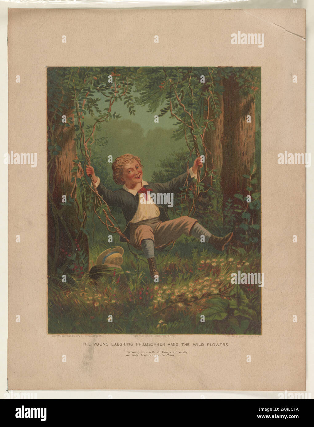 The young laughing philosopher amid the wild flowers Stock Photo - Alamy