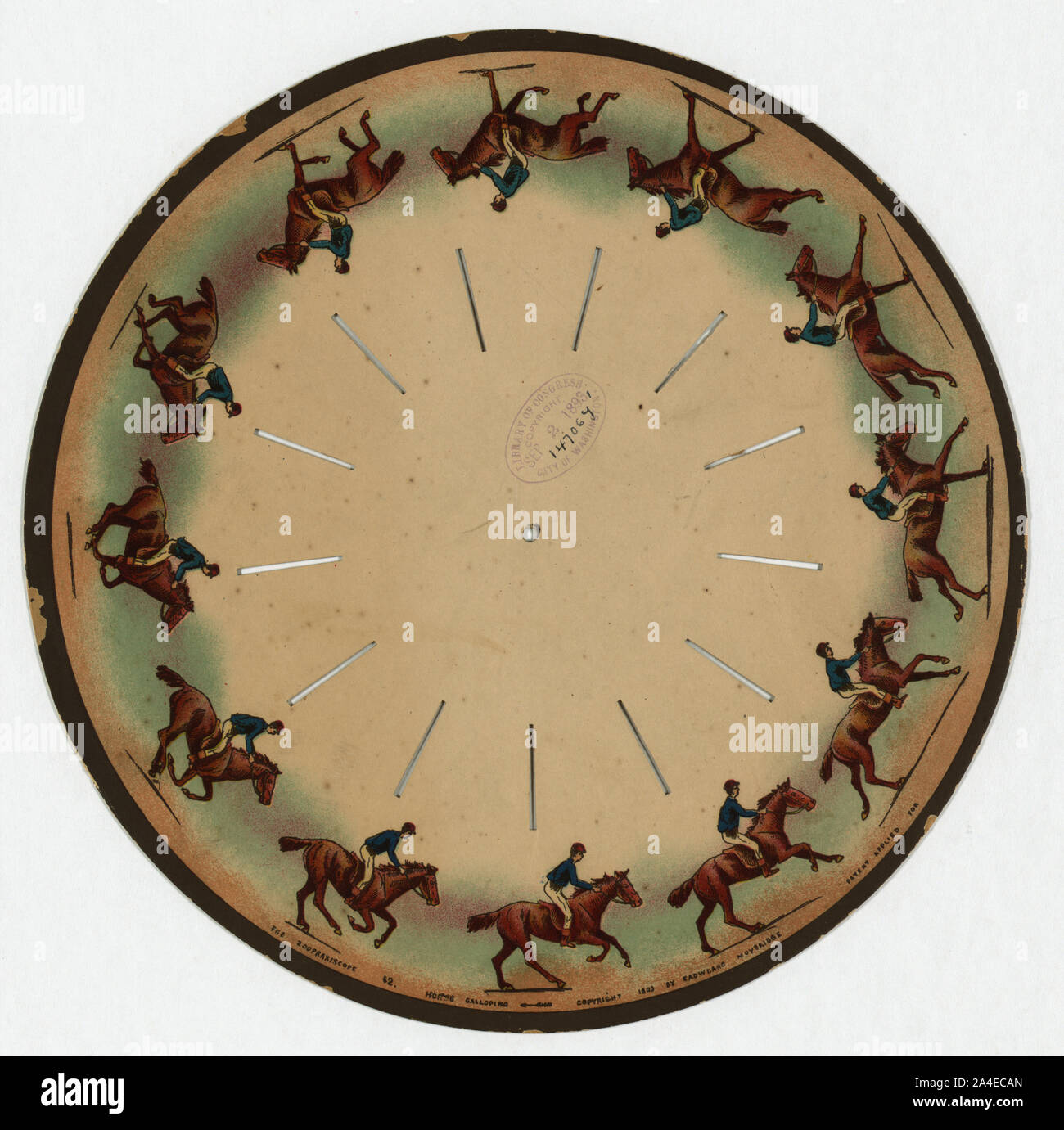 The zoopraxiscope--Horse galloping Stock Photo - Alamy