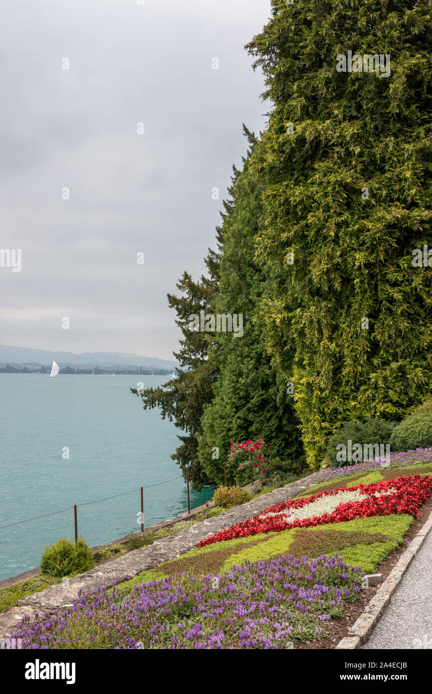 A walk in the green park, around the branch of leaves and green trees ...