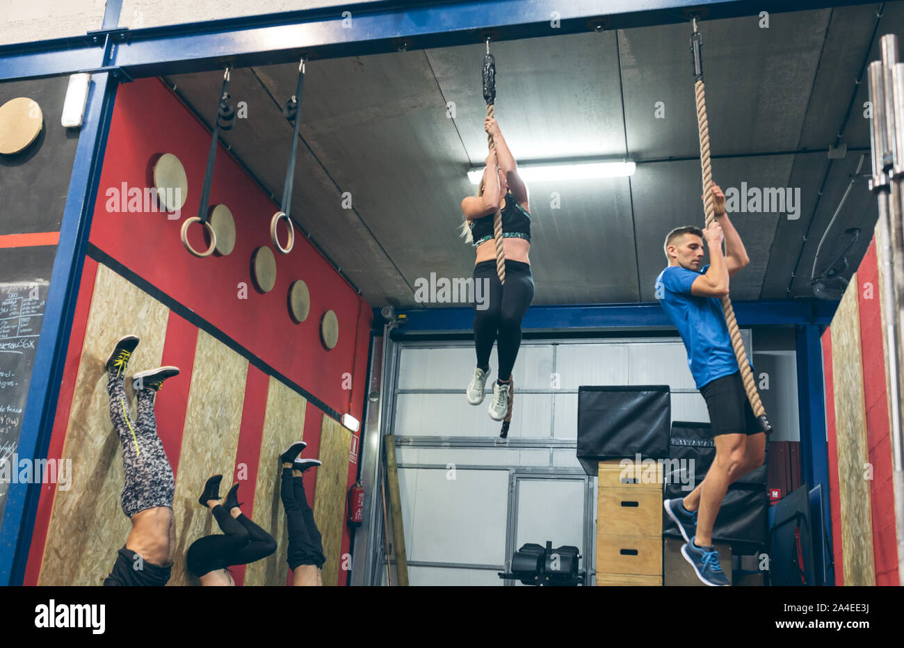 Group training at the box Stock Photo - Alamy