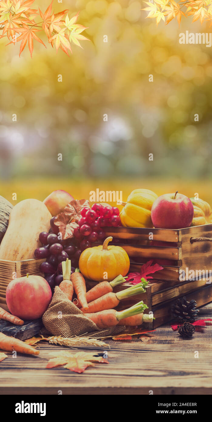 Fall harvest cornucopia. Autumn season with fruit and vegetable ...