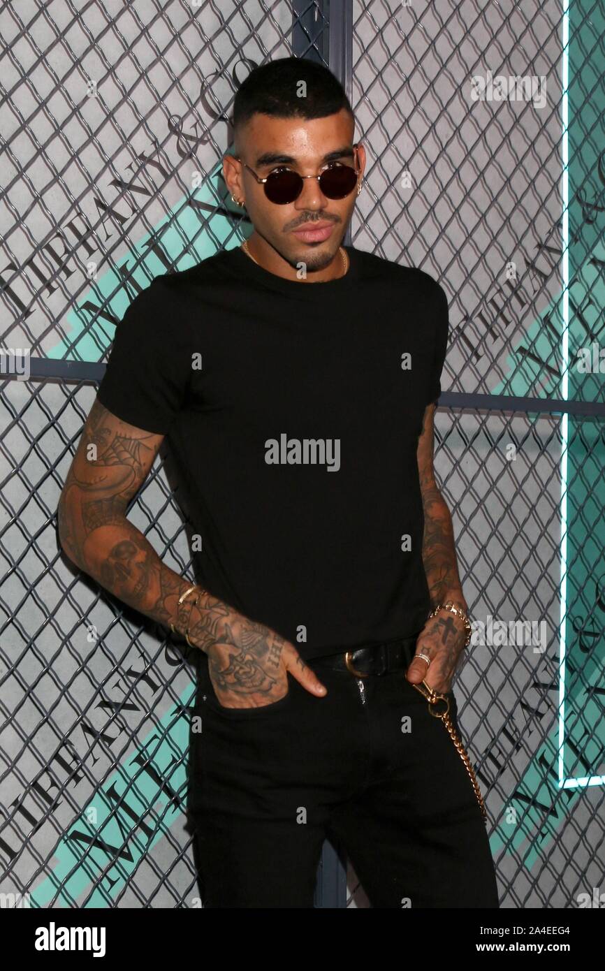 Hollywood, CA. 11th Oct, 2019. Miles Richie at arrivals for Tiffany ...
