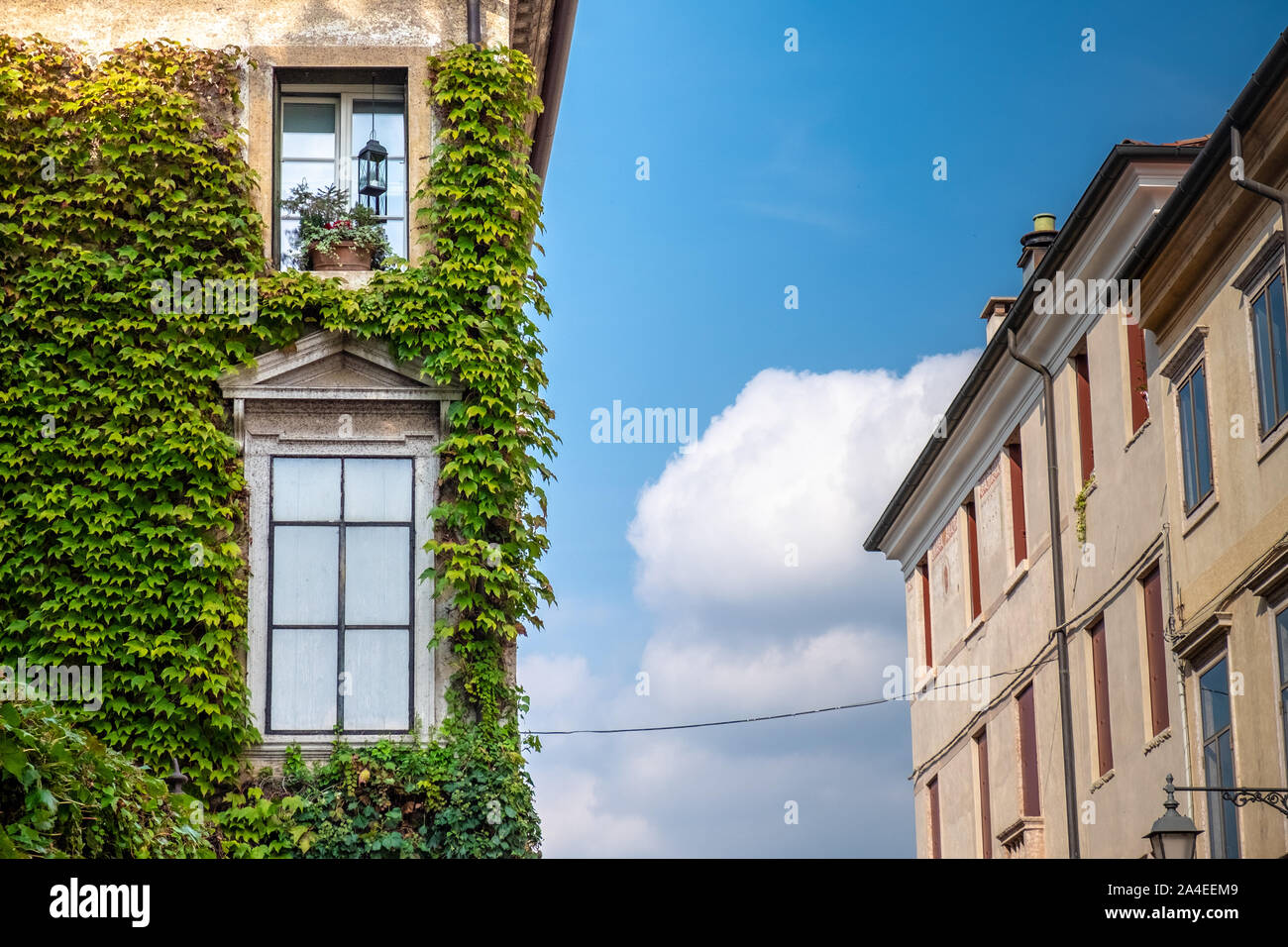 Ivy-covered building in Italy Stock Photo - Alamy