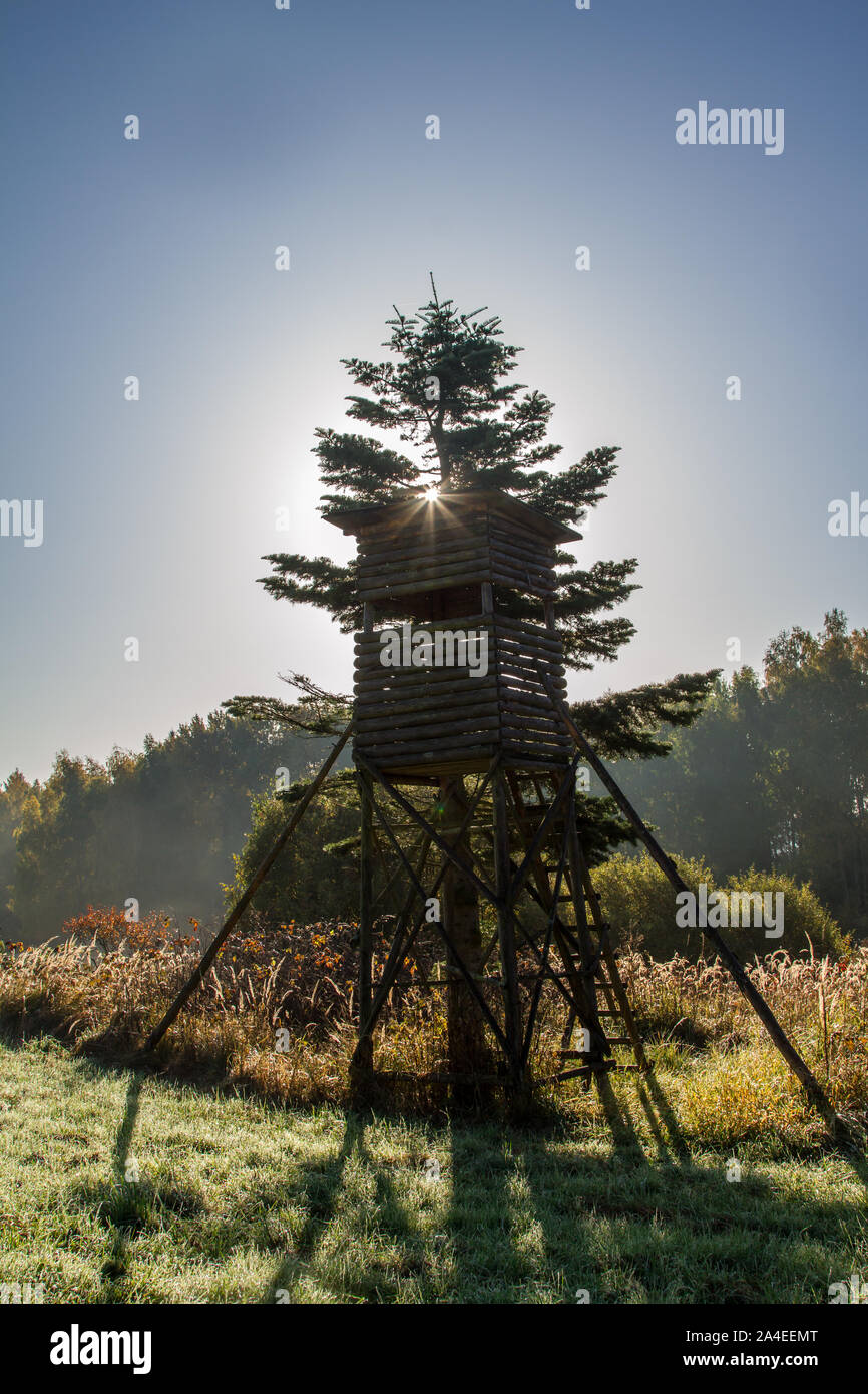 Deer Stand High Resolution Stock Photography and Images - Alamy