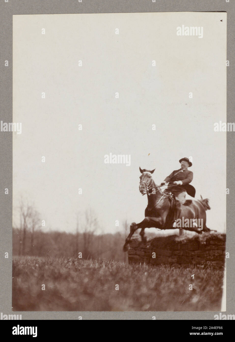 Theodore Roosevelt on horseback jumping over stone wall Stock Photo - Alamy