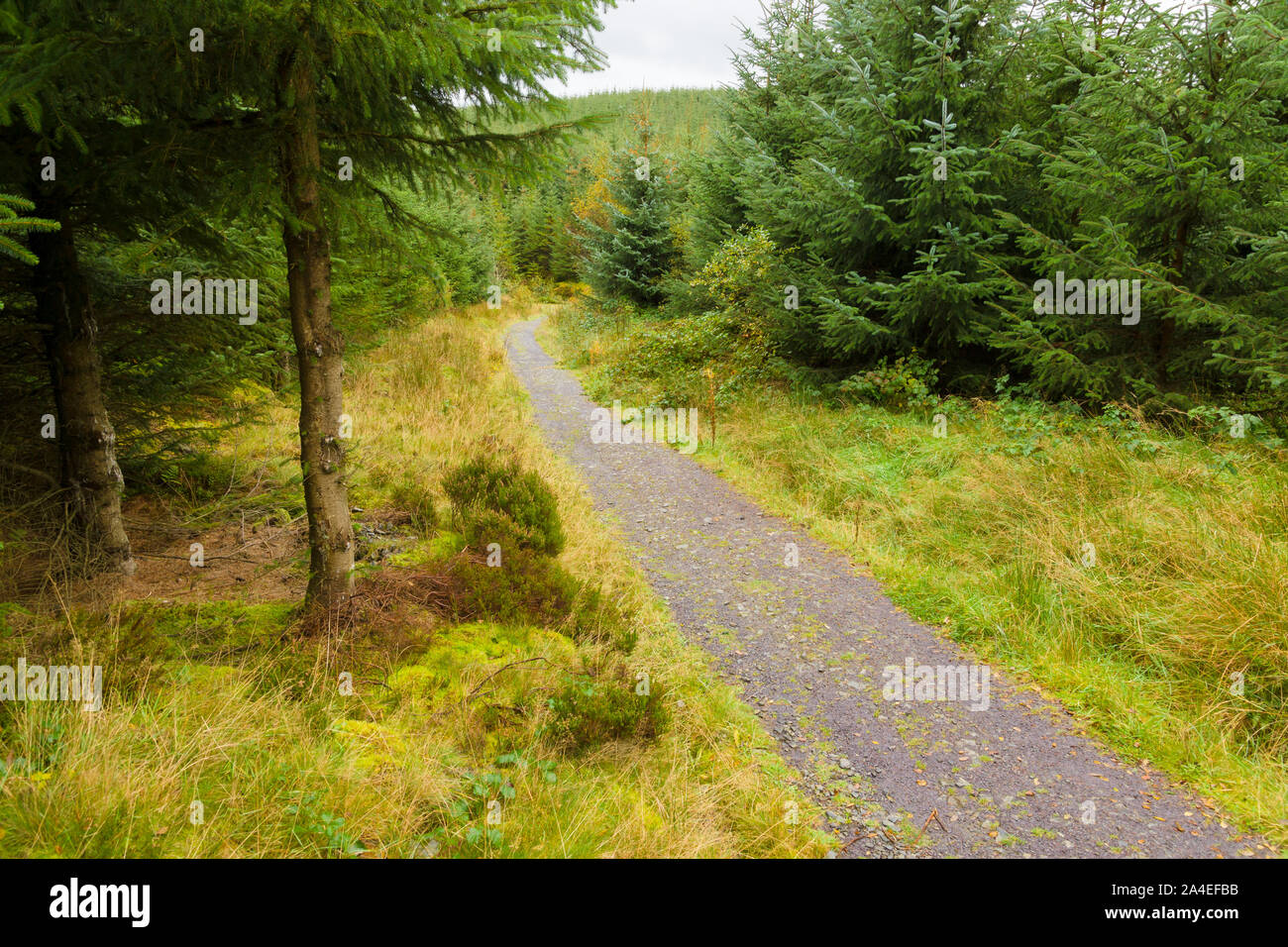 Llyn alwen hi-res stock photography and images - Alamy