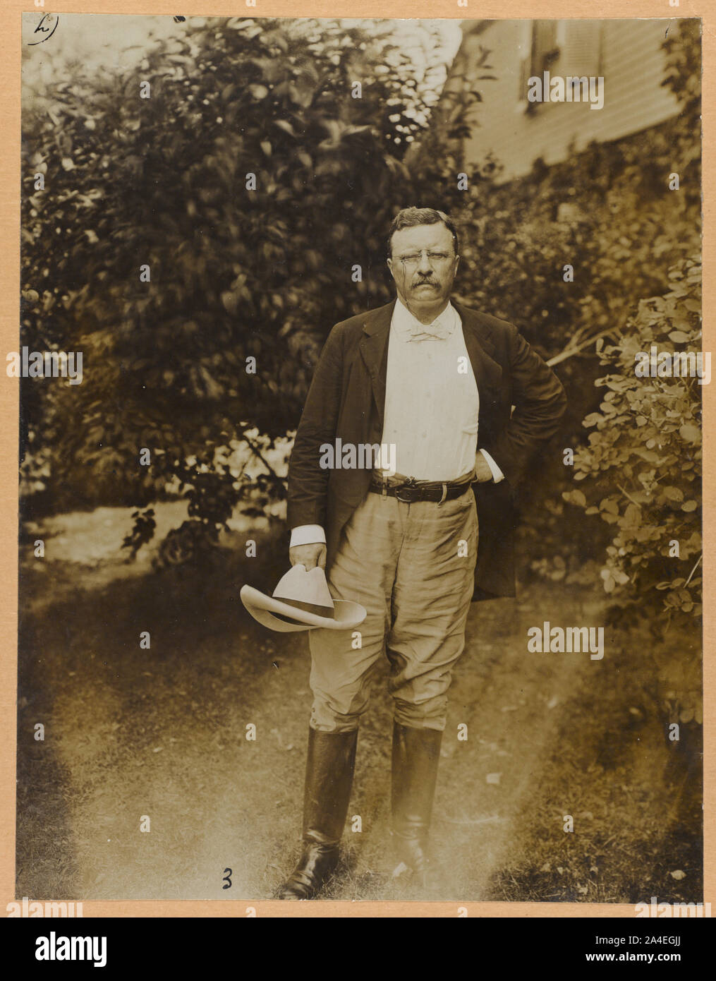 Theodore Roosevelt, full-length portrait, facing front Stock Photo - Alamy