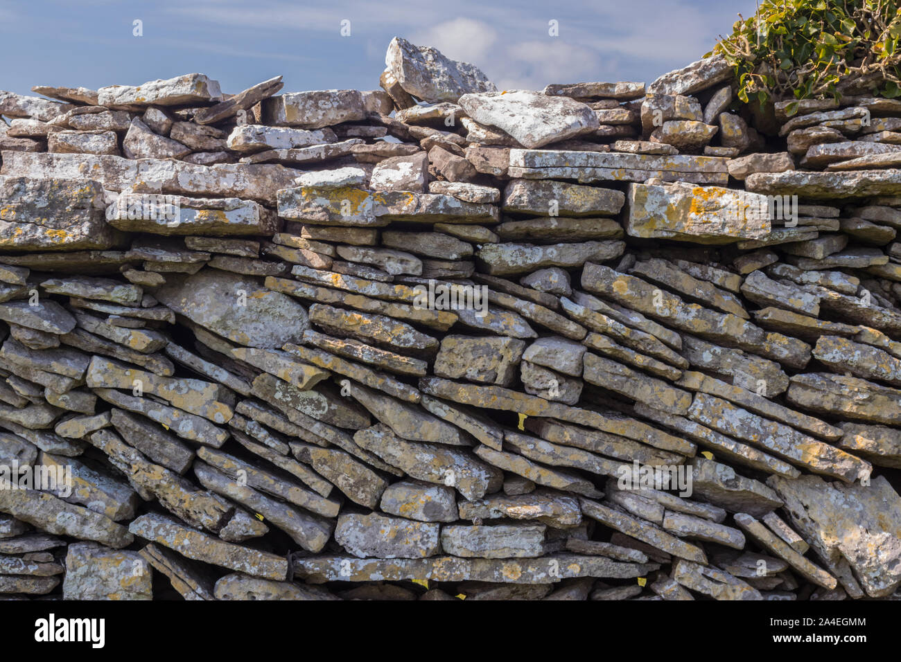 Traditional Purbeck drystone wall near Langton Matravers, Dorset, UK ...