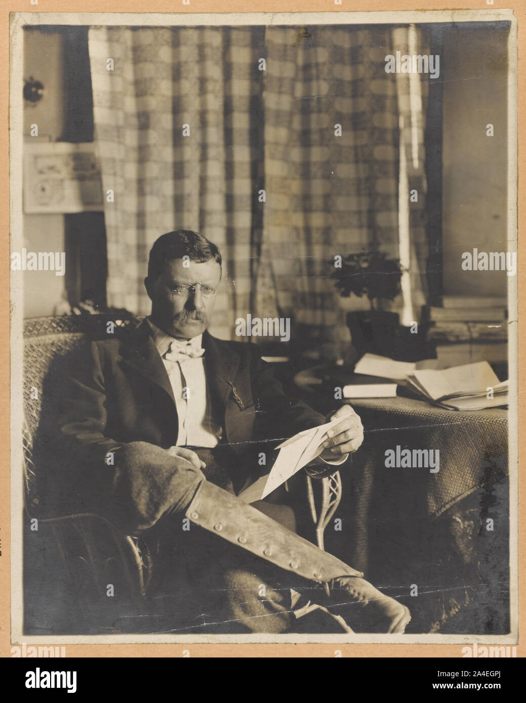 Theodore Roosevelt, full-length portrait, seated, reading Stock Photo ...
