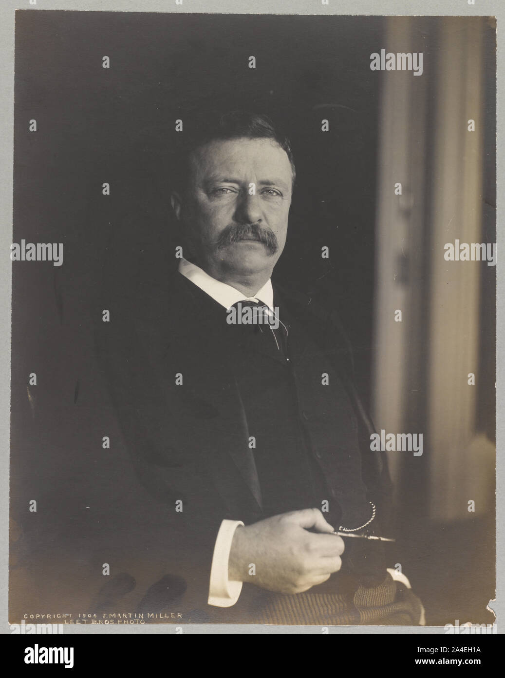 Theodore Roosevelt, half-length portrait, facing right] / Leet Bros ...