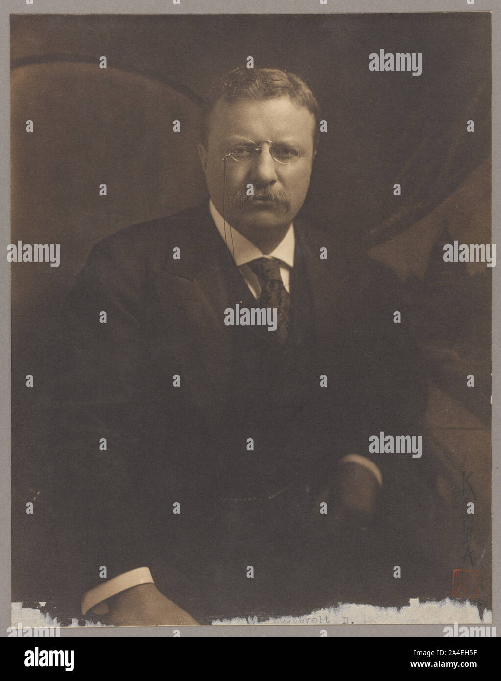 Theodore Roosevelt, half-length portrait, seated, facing front Stock ...