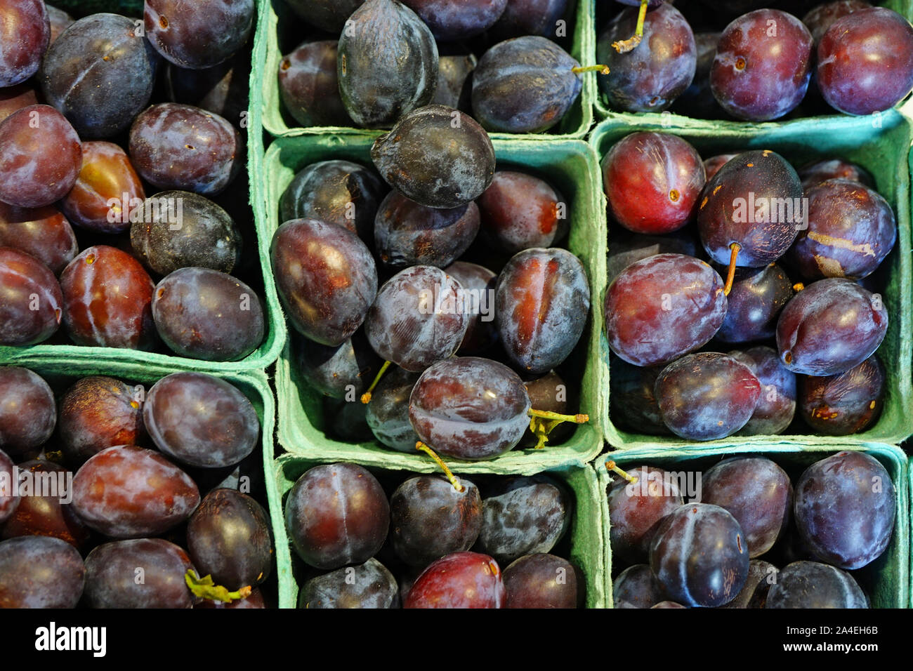 Containers of purple Italian plums in the fall Stock Photo - Alamy