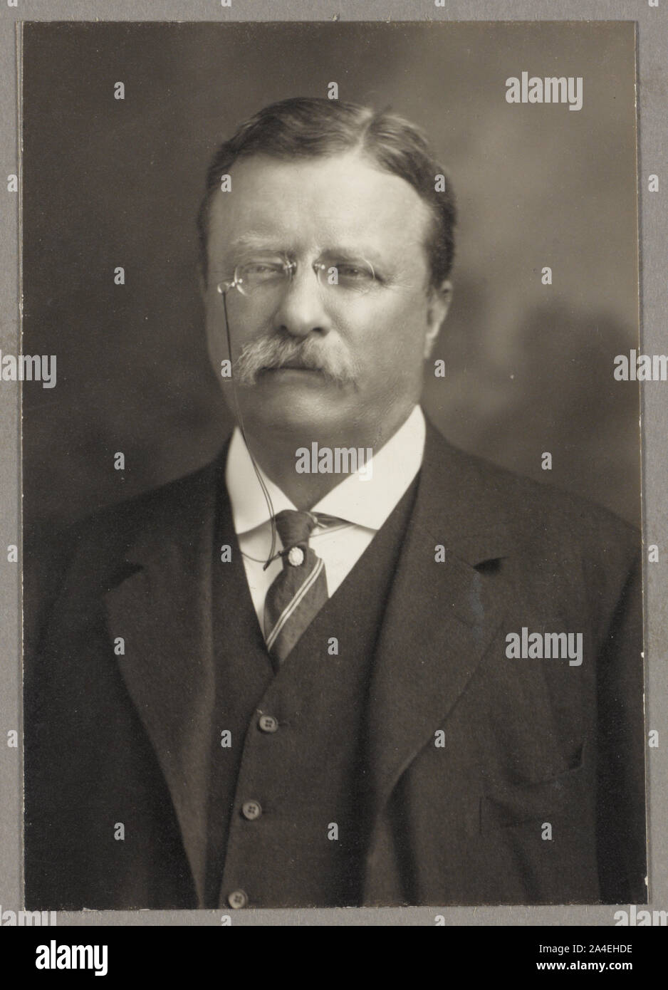 Theodore Roosevelt, head-and-shoulders portrait, facing front] / Pach ...