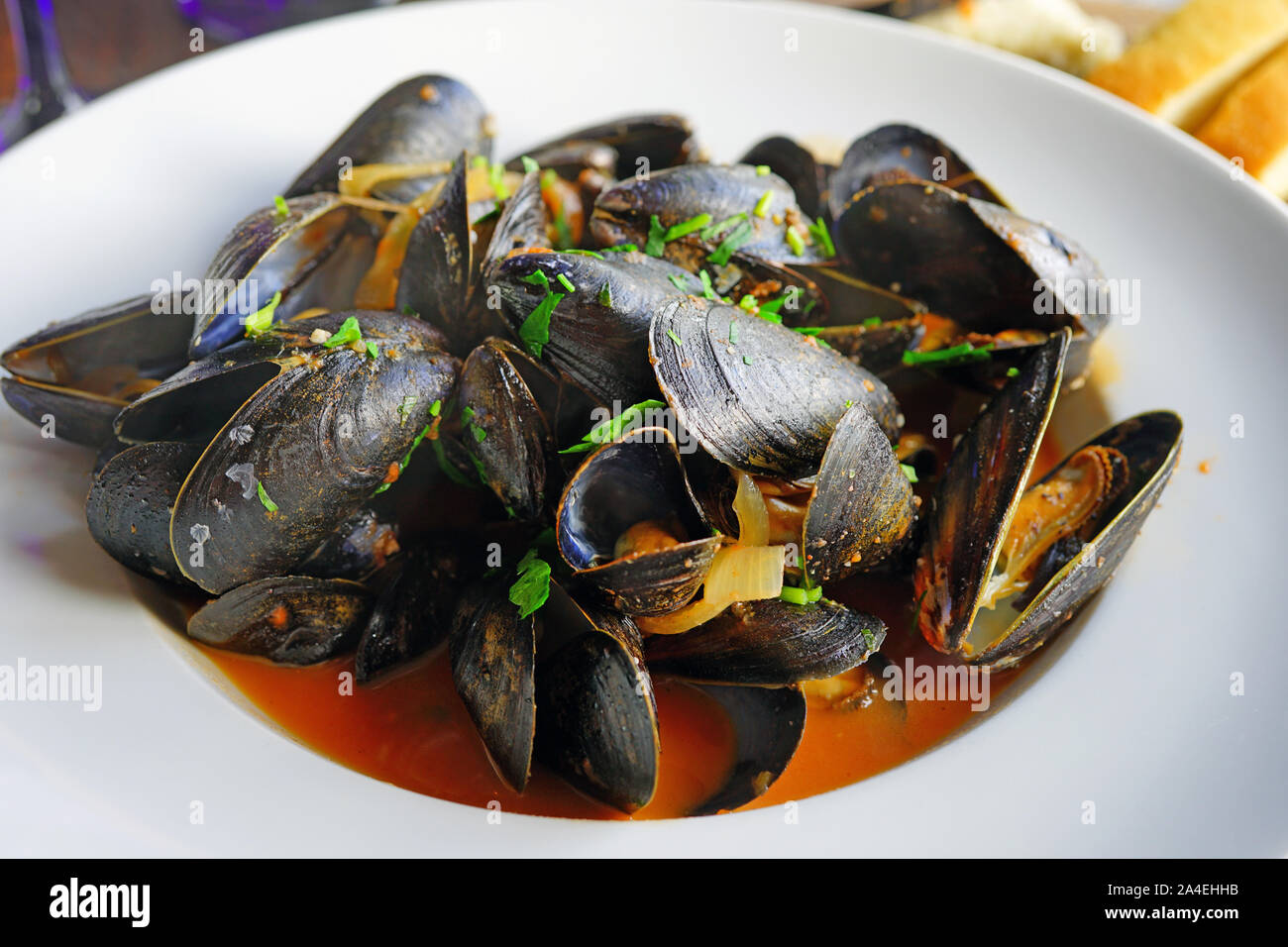 Plate of mussels in the shell cooked in tomato sauce Stock Photo - Alamy