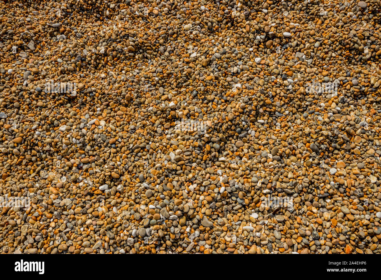 Beach shingle at Worborrow Bay near Tyneham, Dorset, UK Stock Photo - Alamy