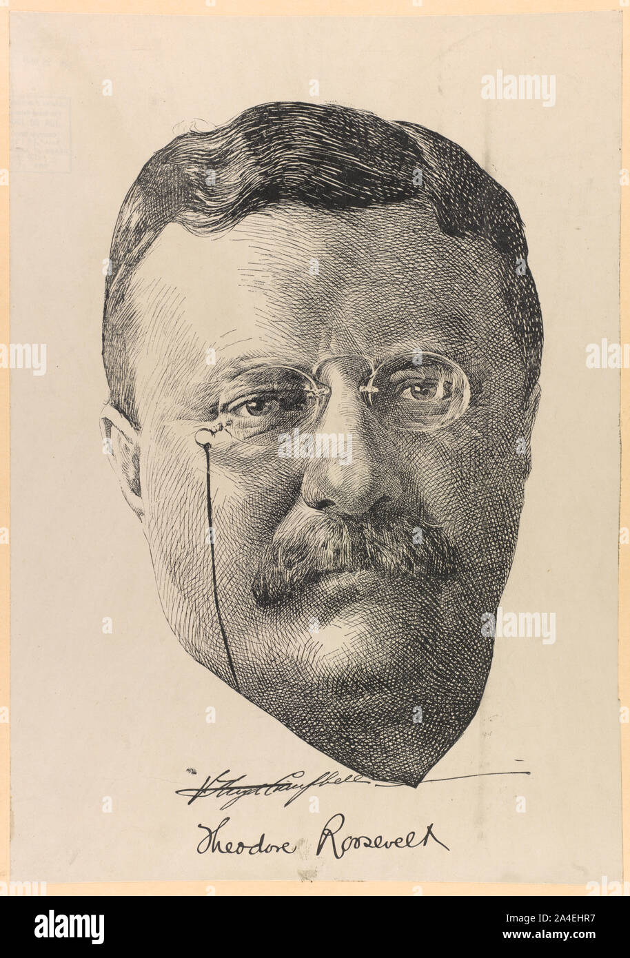 Theodore Roosevelt, portrait of head, full face view Stock Photo - Alamy