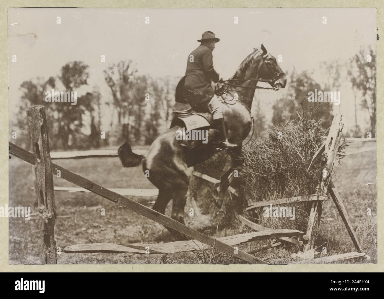 Theodore Roosevelt, side view, on horseback jumping over fence Stock ...