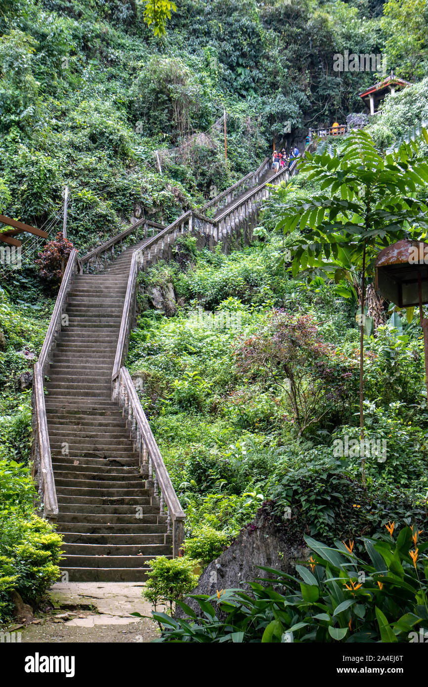 A stone steps rising up the hill in the tropical woods, Laos Stock ...