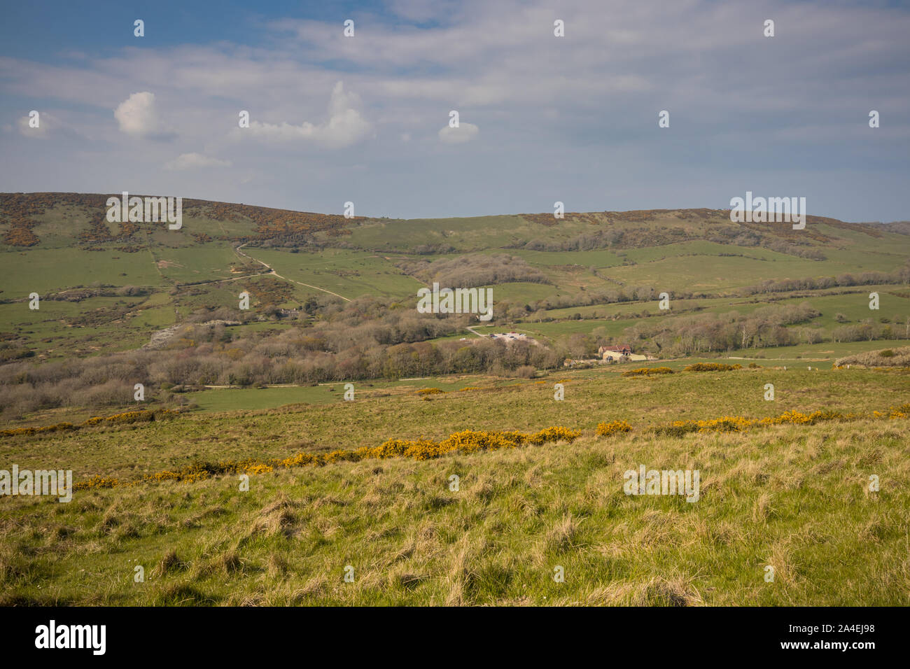 Lulworth ranges hi-res stock photography and images - Alamy
