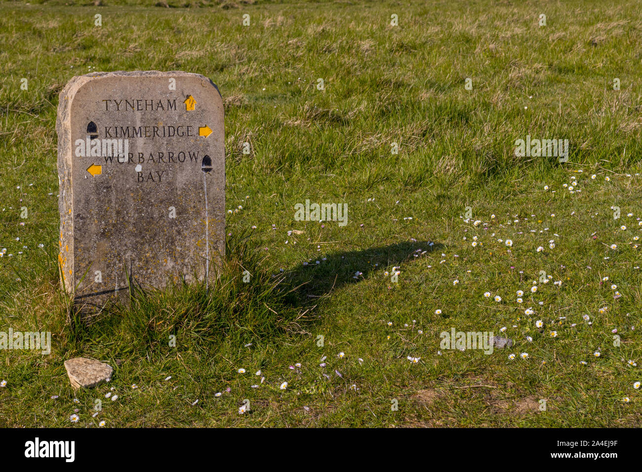 Traditional stone way marker on the South West Coast Path near Tyneham ...