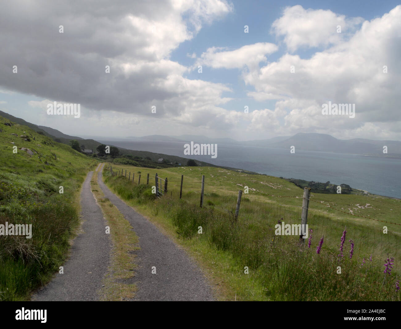 landscape along the sheep heads way Stock Photo - Alamy