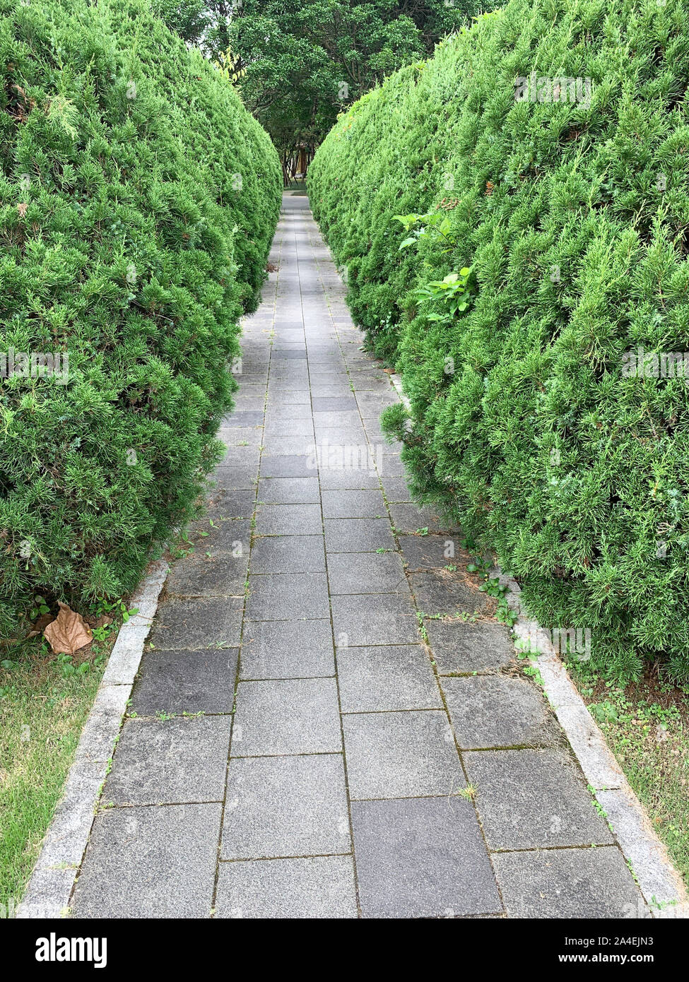 Pathway walkway hi-res stock photography and images - Alamy