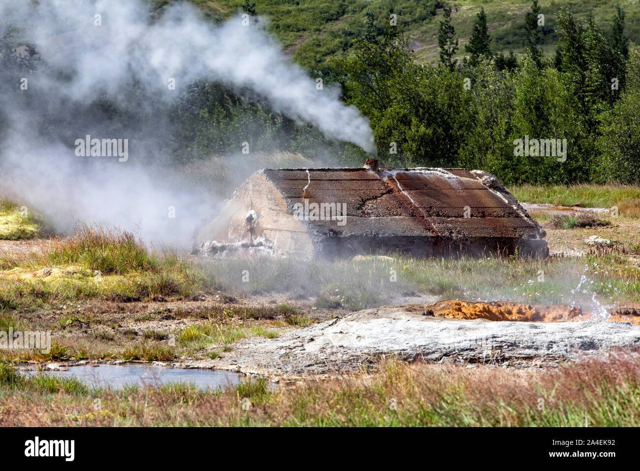 EVACUATION OF STEAM TO SUPPLY GEOTHERMAL HEAT TO THE RESTAURANT AT THE ...