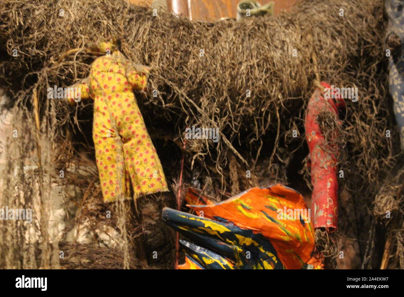 New orleans voodoo museum hi-res stock photography and images - Alamy