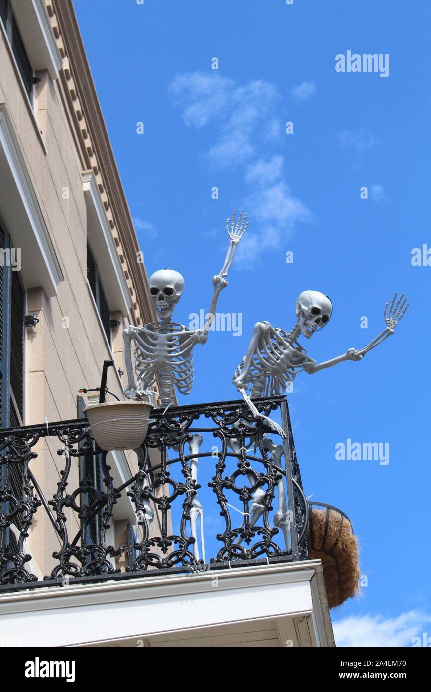skeletons on display Stock Photo - Alamy