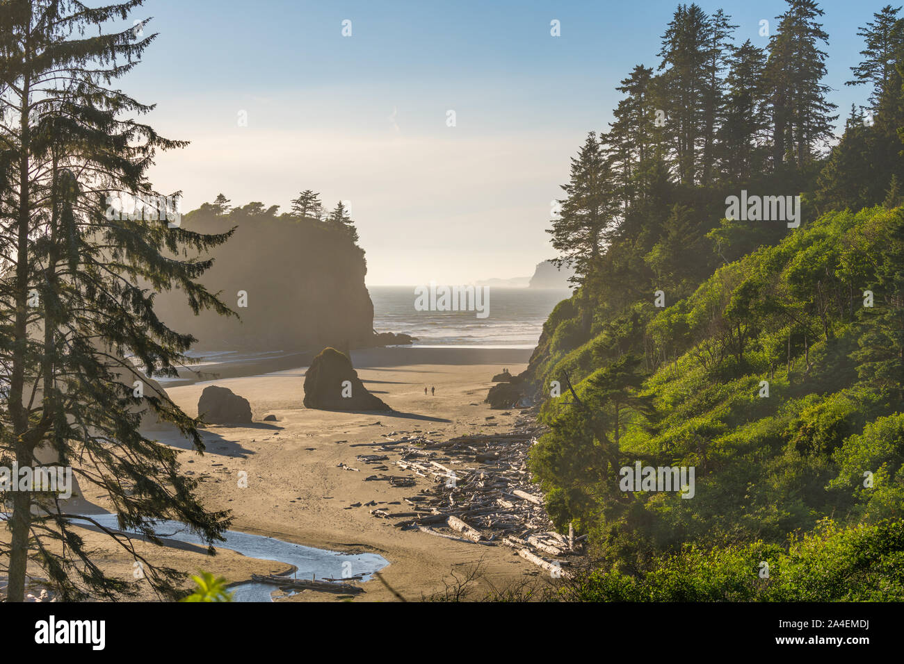Ruby Beach in Olympic National Park, Washington, USA Stock Photo - Alamy