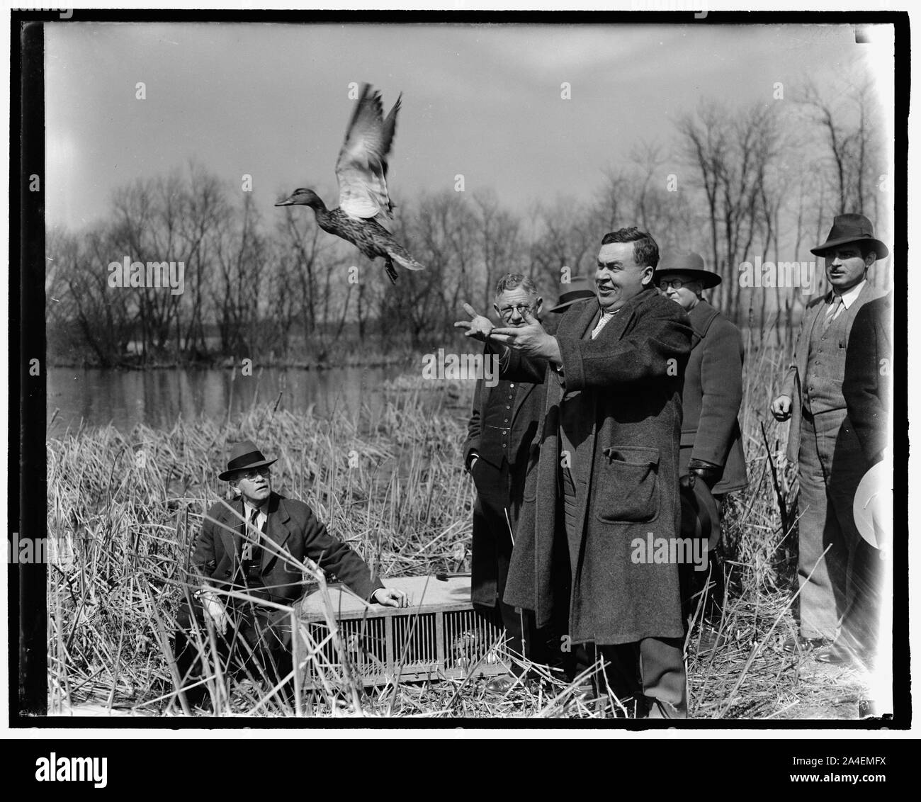 Waterfowl sanctuary Cut Out Stock Images & Pictures - Alamy