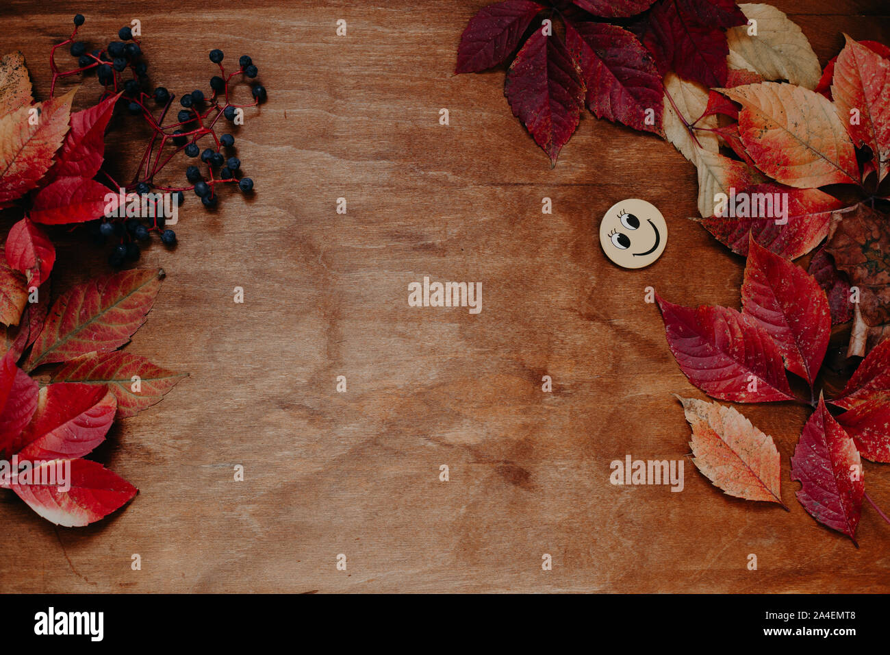 autumn background table with red and yellow fallen leaves Stock Photo ...