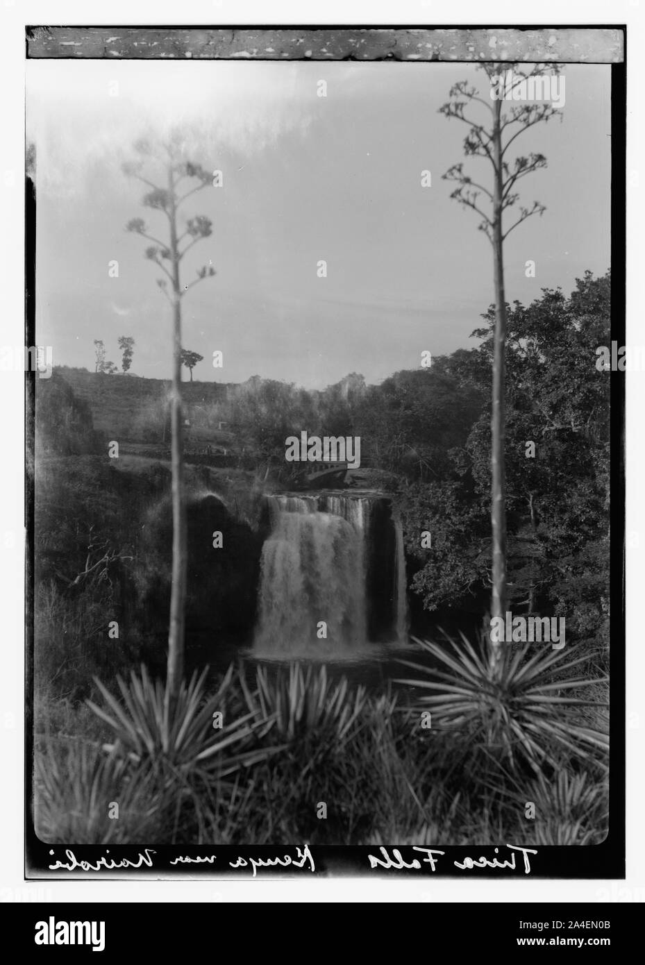 Thica hi-res stock photography and images - Alamy