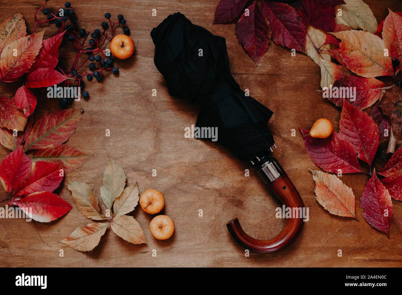 autumn background table with red and yellow fallen leaves Stock Photo ...