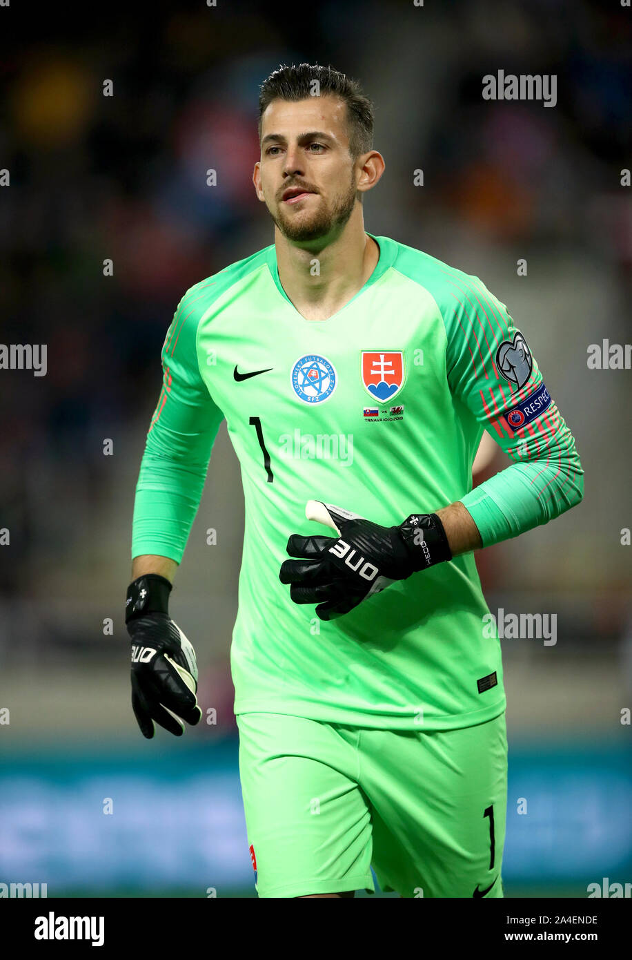 Slovakia goalkeeper hi-res stock photography and images - Alamy