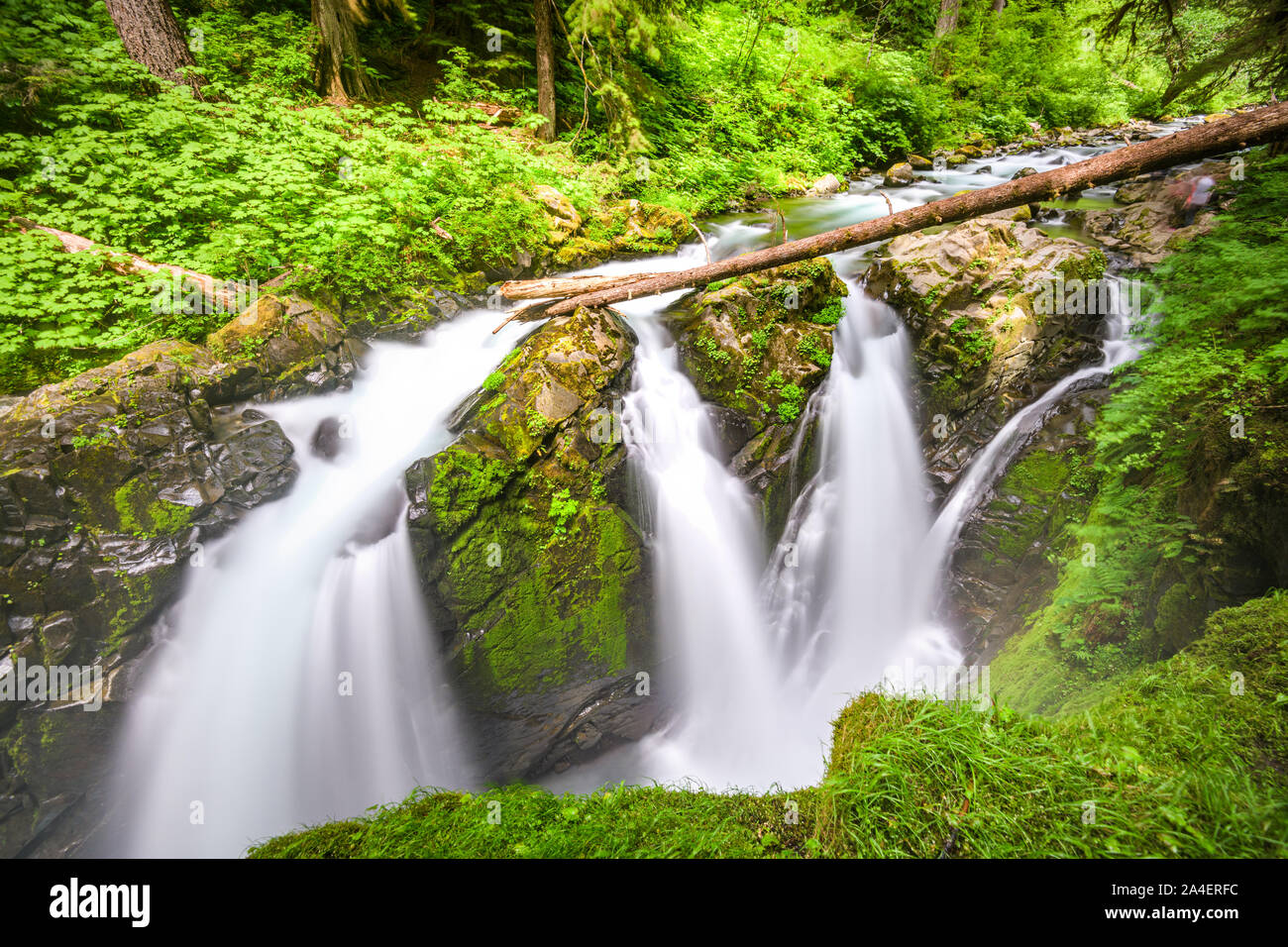 Sol duc park hi-res stock photography and images - Alamy