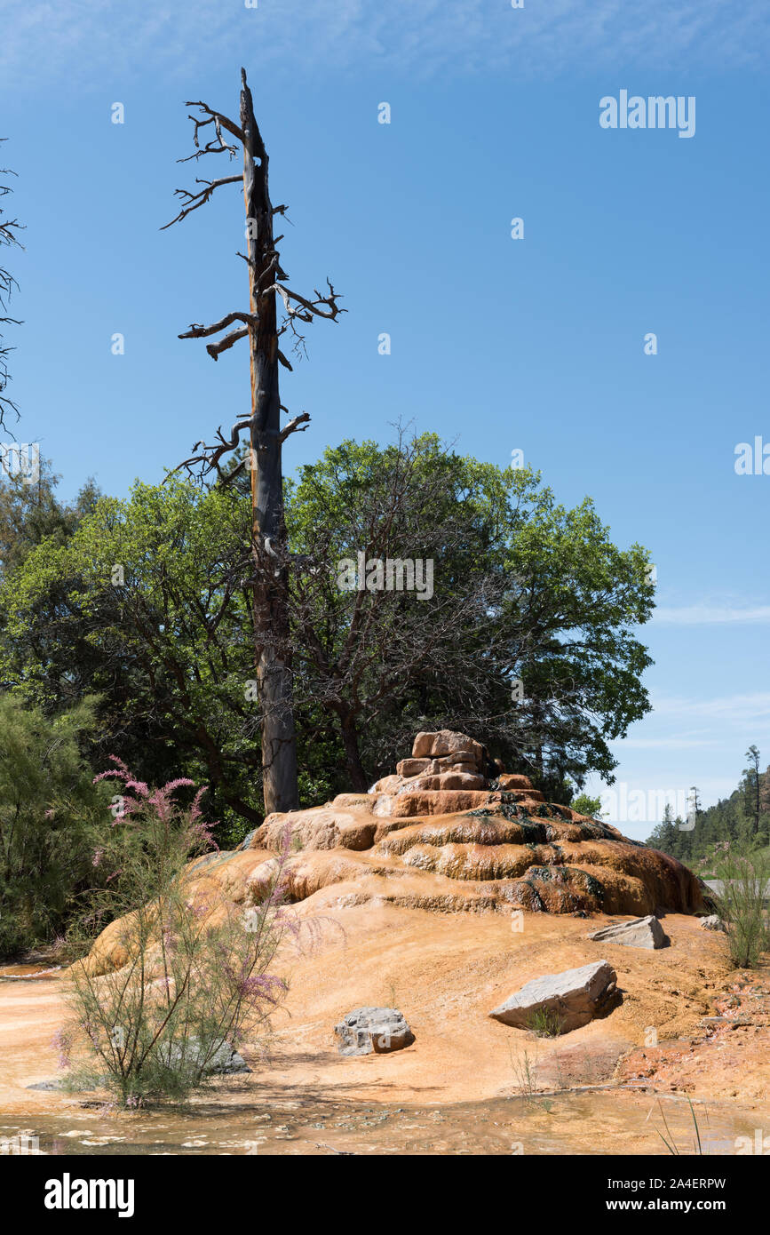 This seeping rock pile, along the main highway above Durango, Colorado ...