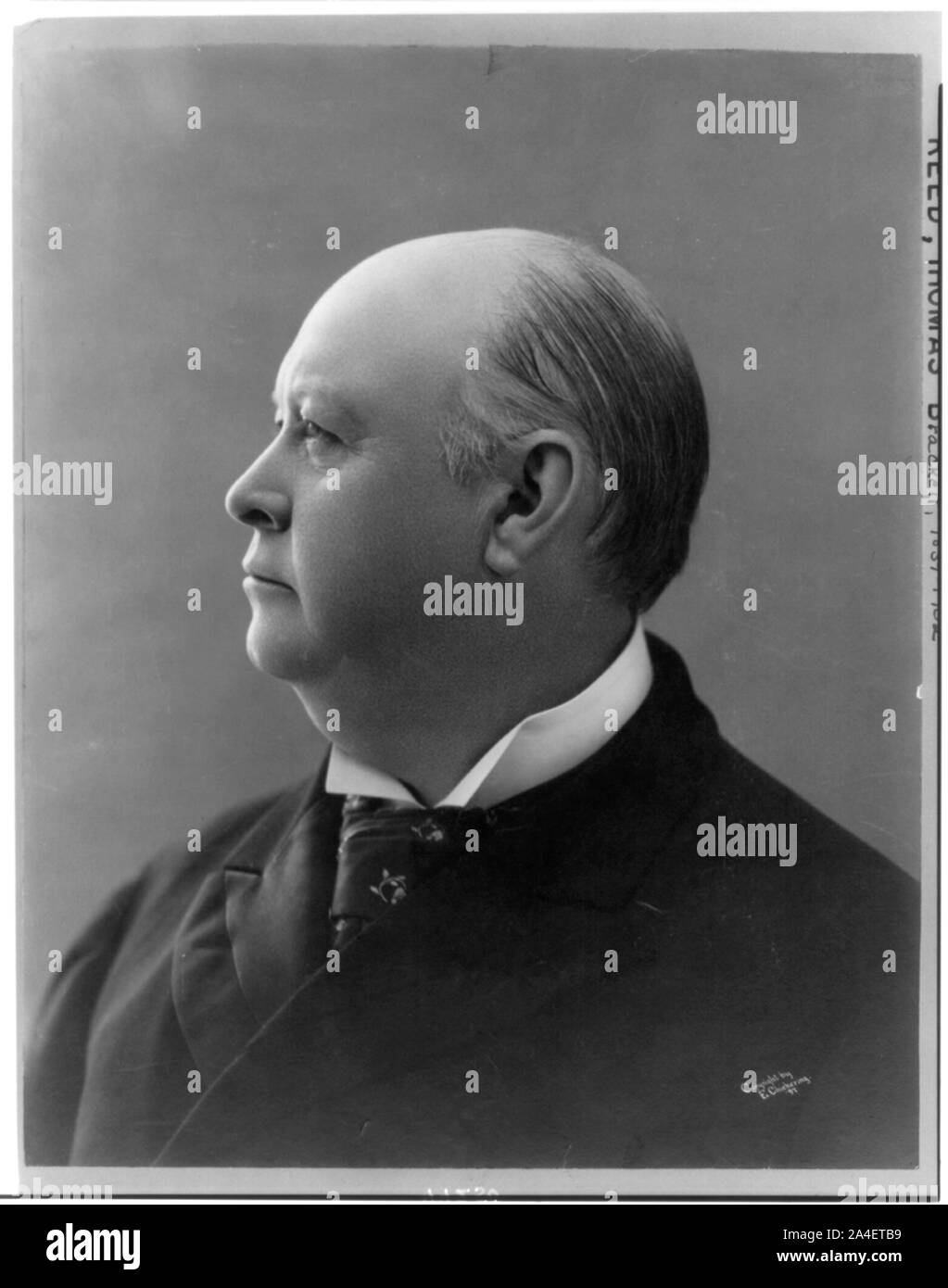 Thomas Brackett Reed, 1839-1902, bust portrait, left profile Stock ...