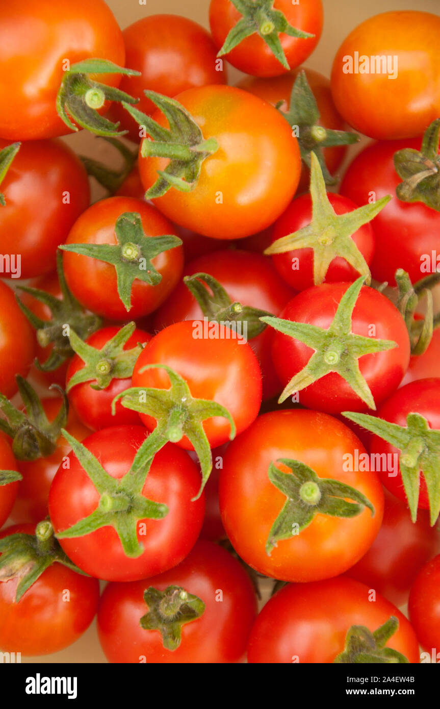 Tomato red fresh symmetry hi-res stock photography and images - Alamy