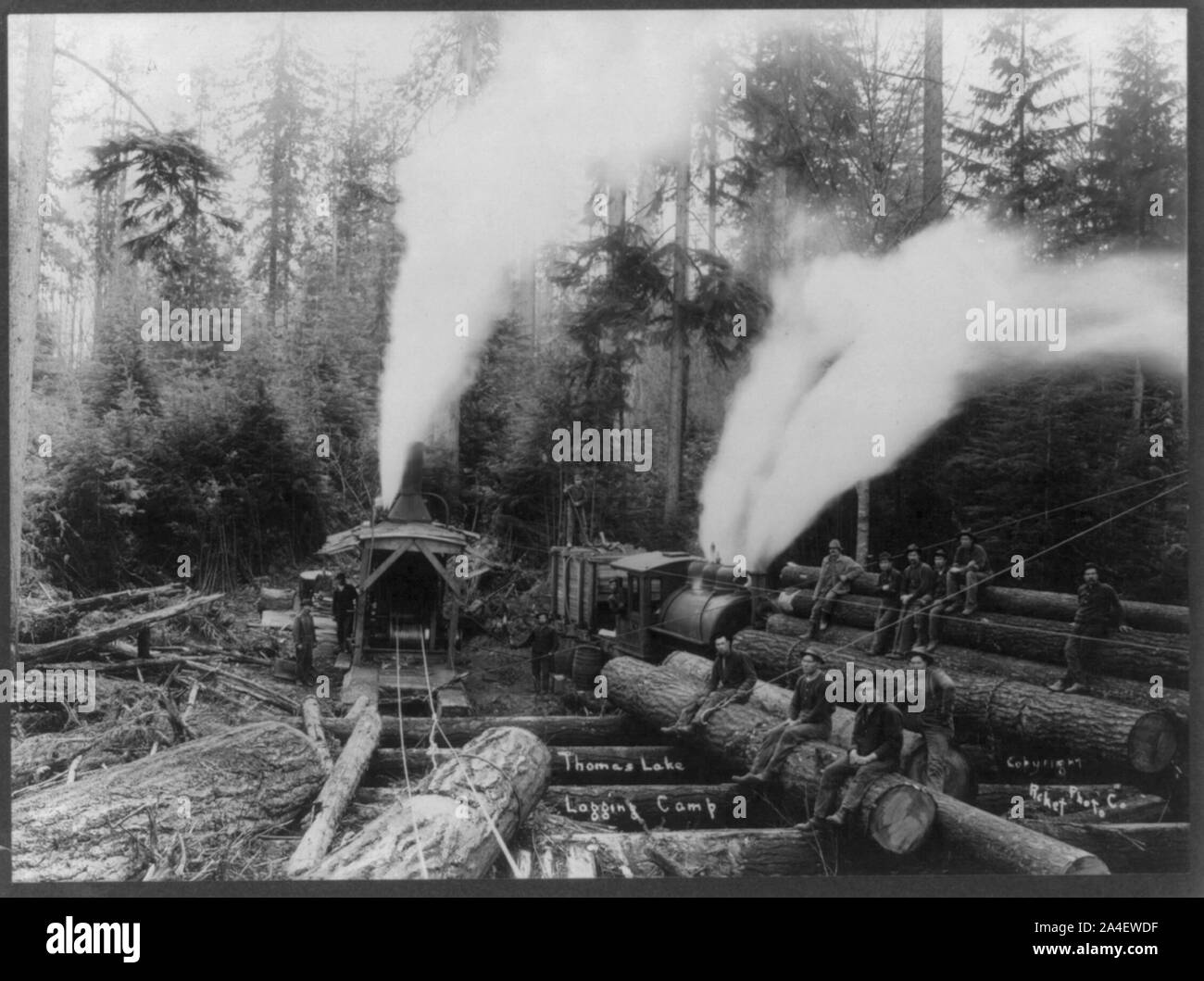 Thomas Lake logging camp Stock Photo - Alamy
