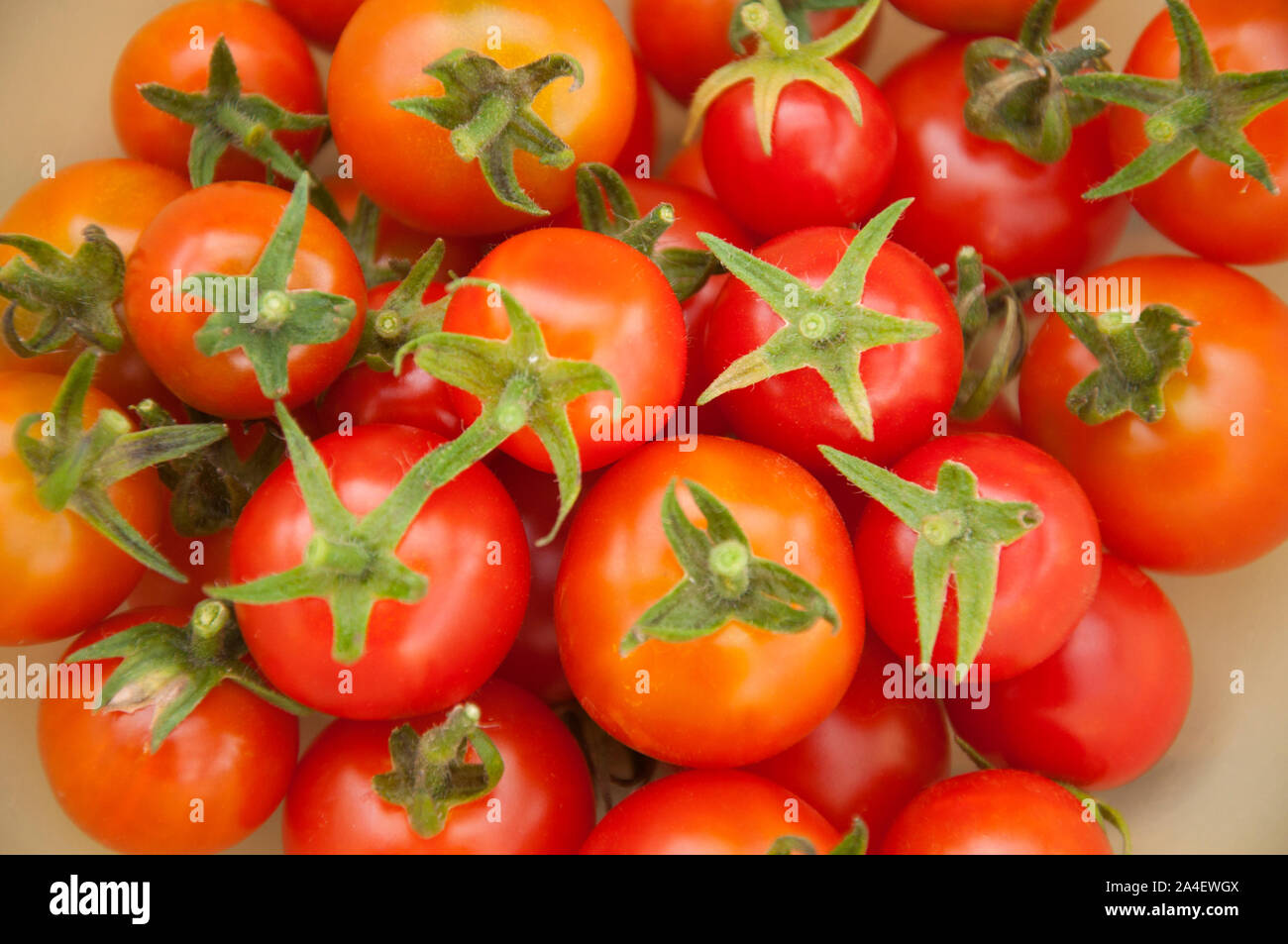 A Heap of Star Tomatoes Stock Photo - Alamy