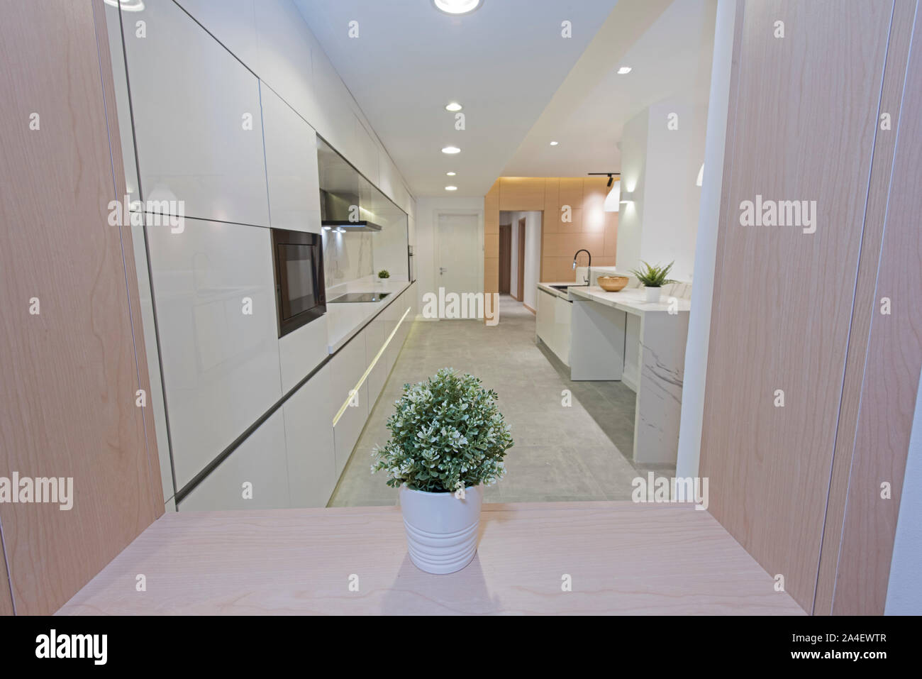 Interior design decor showing modern kitchen with cupboards in luxury ...