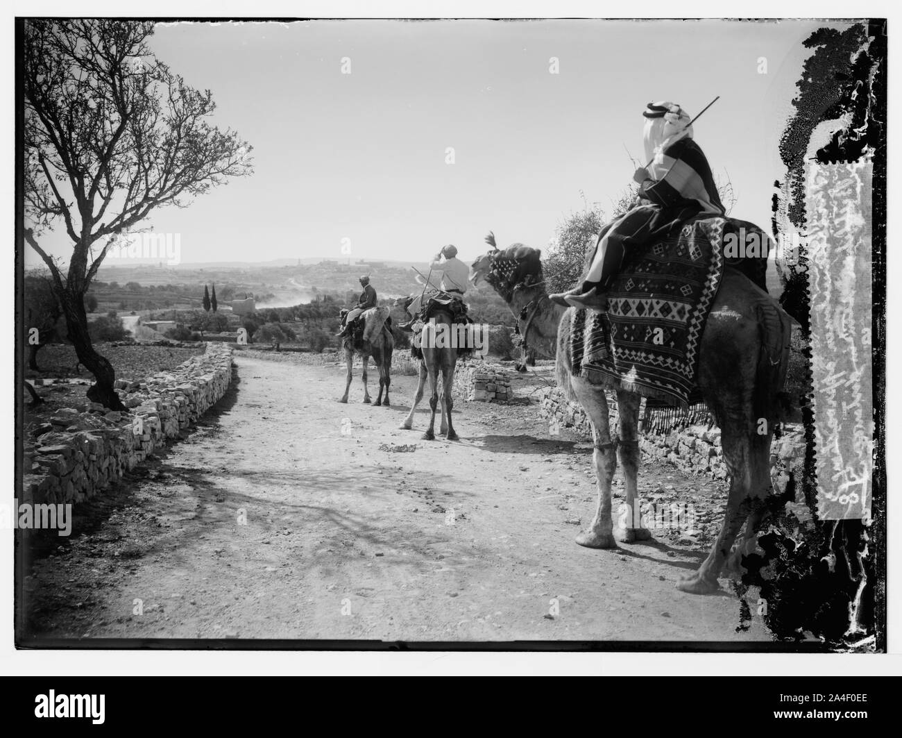 Three camel men approaching Bethlehem seen in distance Stock Photo - Alamy