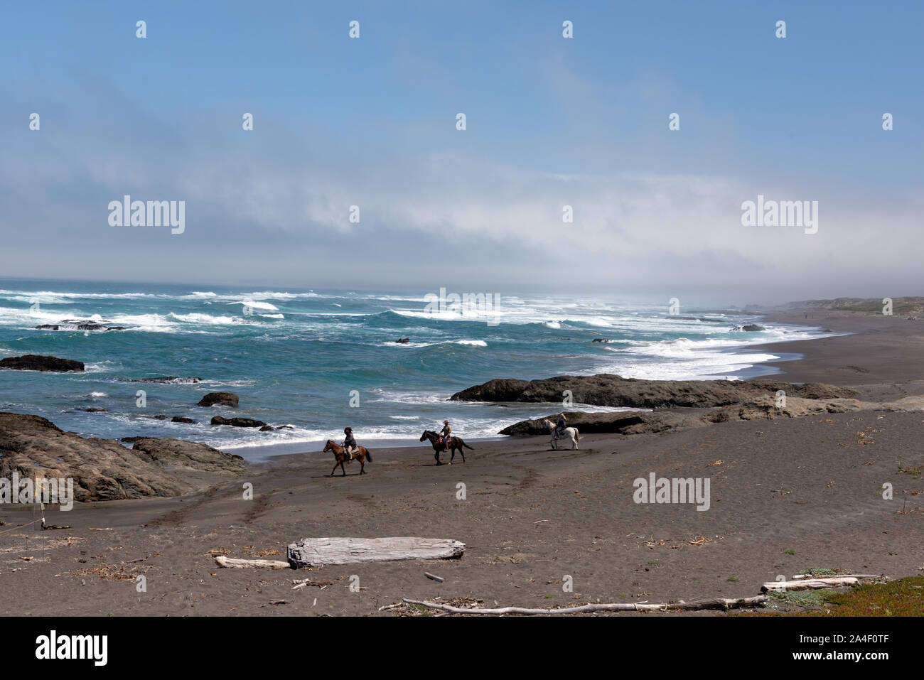 Three horseback riders from Ricochet Ridge Ranch enjoy Ten Mile Beach ...