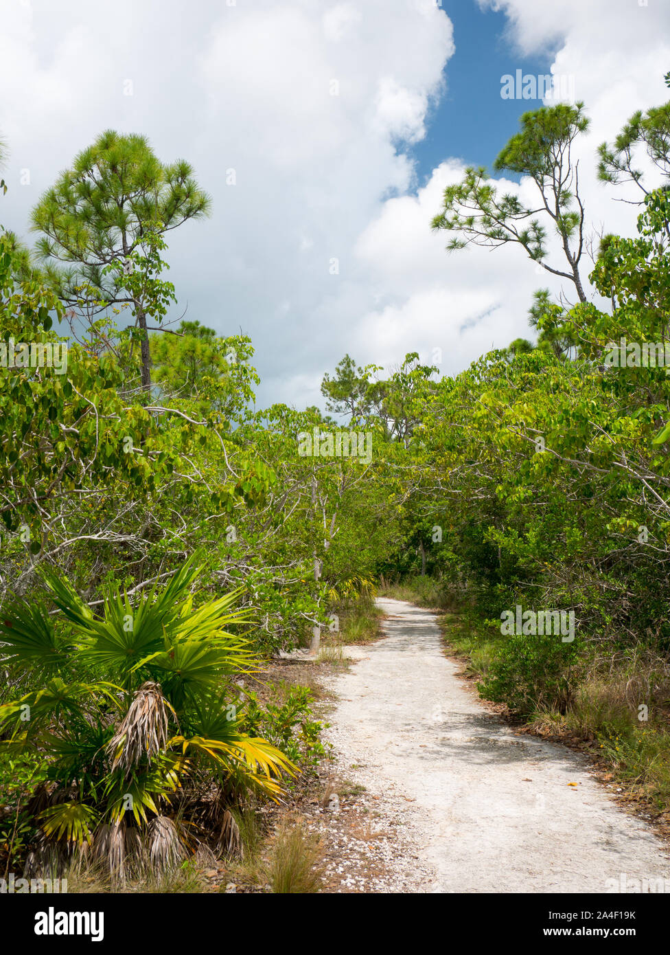 Key biscayne national park hi-res stock photography and images - Alamy
