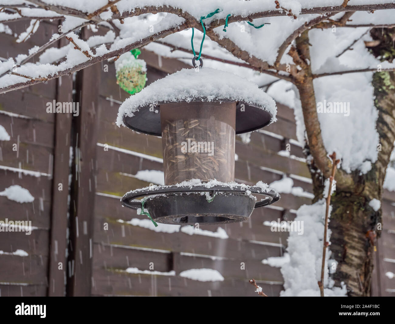 Feeding column Bird feeding in winter Stock Photo - Alamy